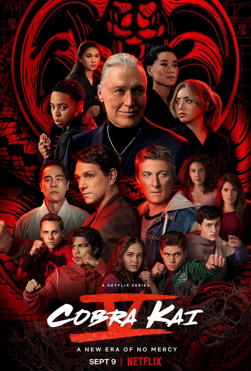 Cobra Kai Serie De TV 2018 FilmAffinity Cobra Kai Serie De TV 2018 FilmAffinity