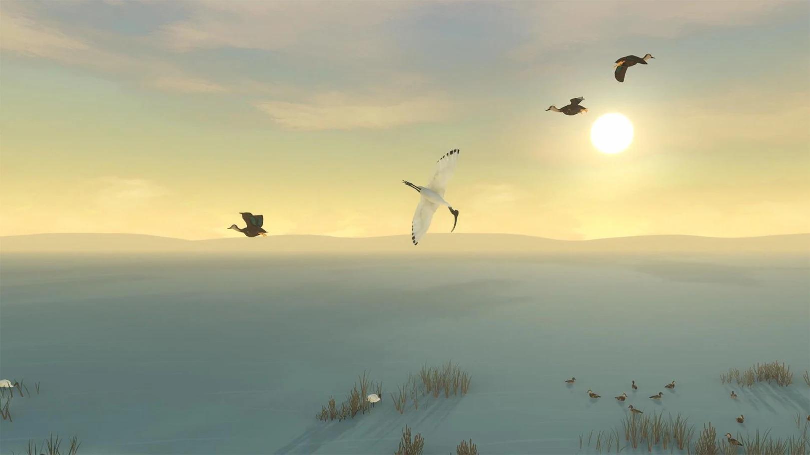Image gallery for Storm Boy - FilmAffinity