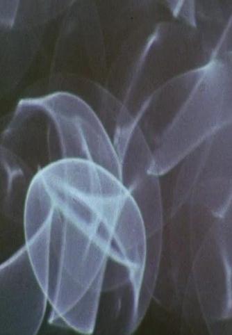 Image gallery for Commingled Containers (S) - FilmAffinity