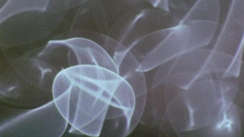 Sección visual de Commingled Containers (C) - FilmAffinity