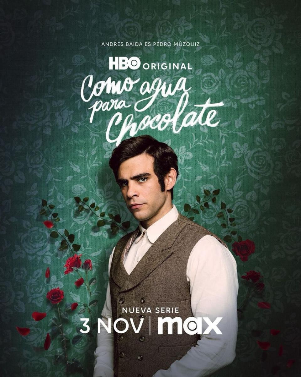 Sección visual de Como agua para chocolate (Serie de TV) - Filmaffinity