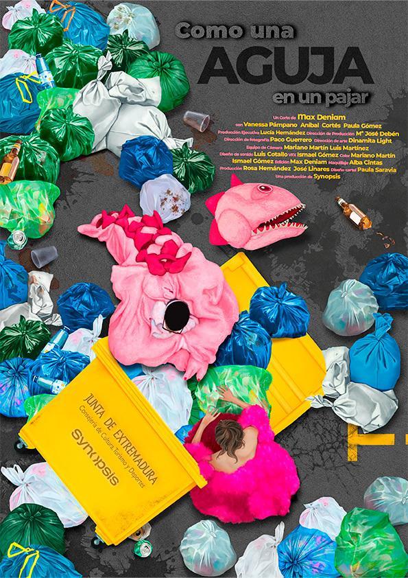 Como una aguja en un pajar (C) (2024) - FilmAffinity