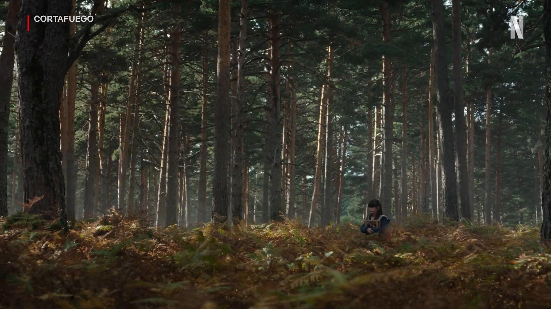 Image gallery for "Firebreak " - FilmAffinity