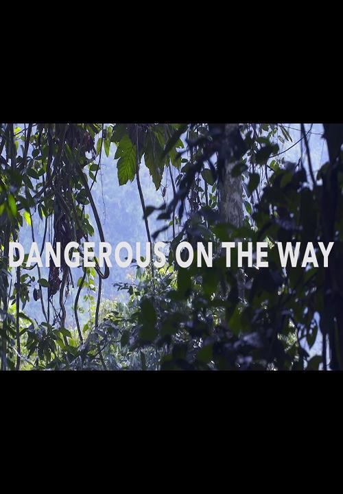 Sección visual de Dangerous on the Way - FilmAffinity