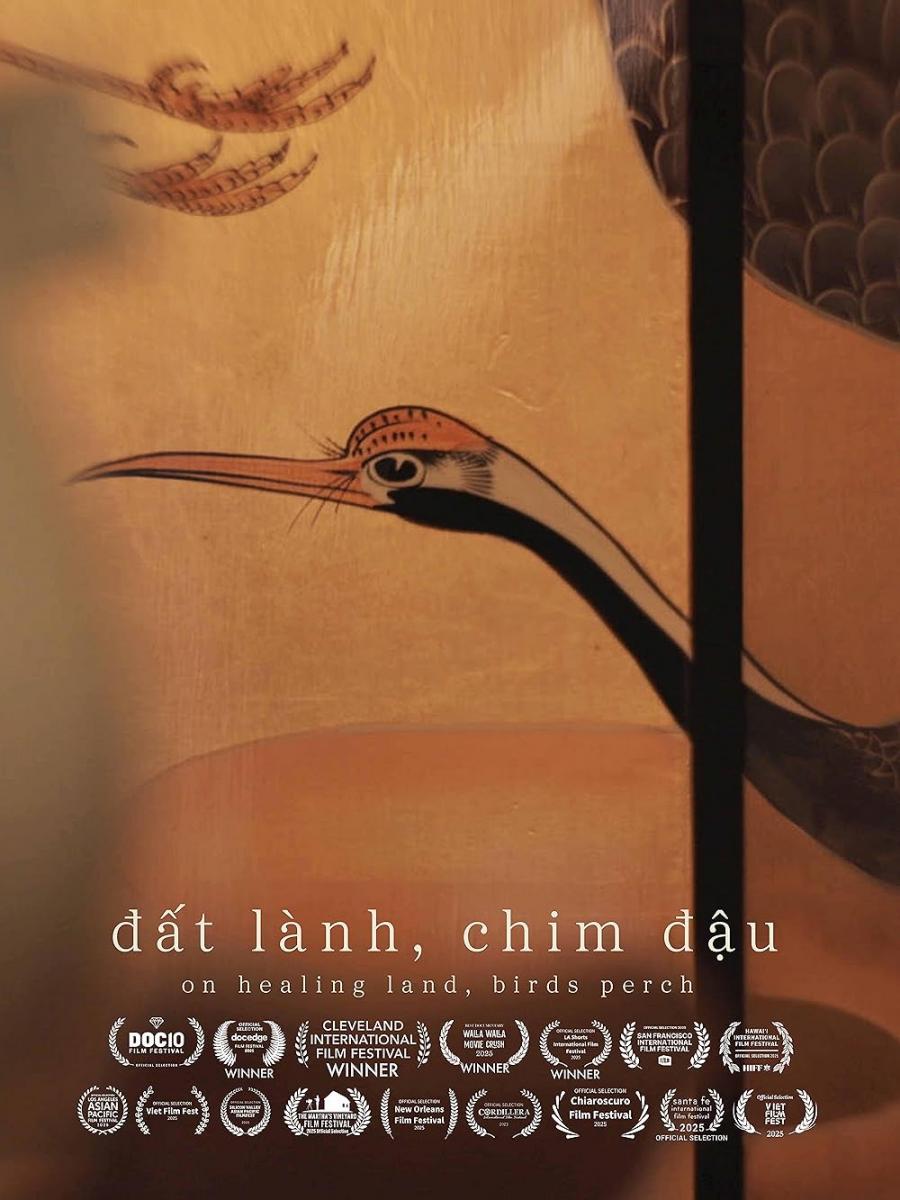 On Healing Land, Birds Perch (2025) - FilmAffinity