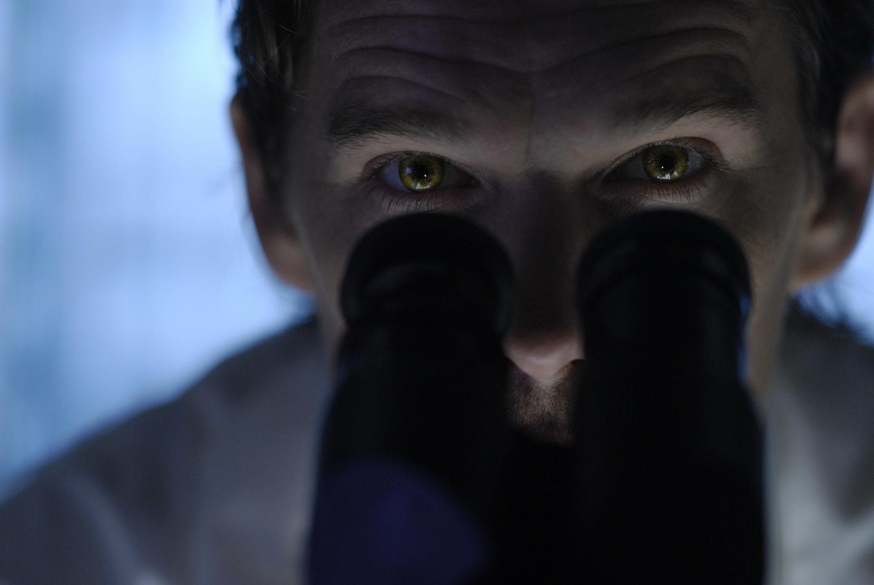 Image gallery for Daybreakers - FilmAffinity