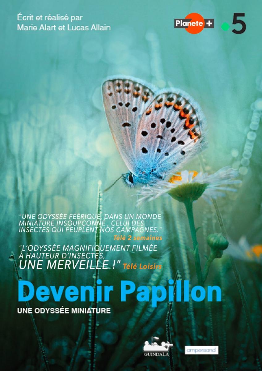 Transformarse en mariposa (2021) - Filmaffinity