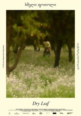Dry Leaf (2025) - FilmAffinity