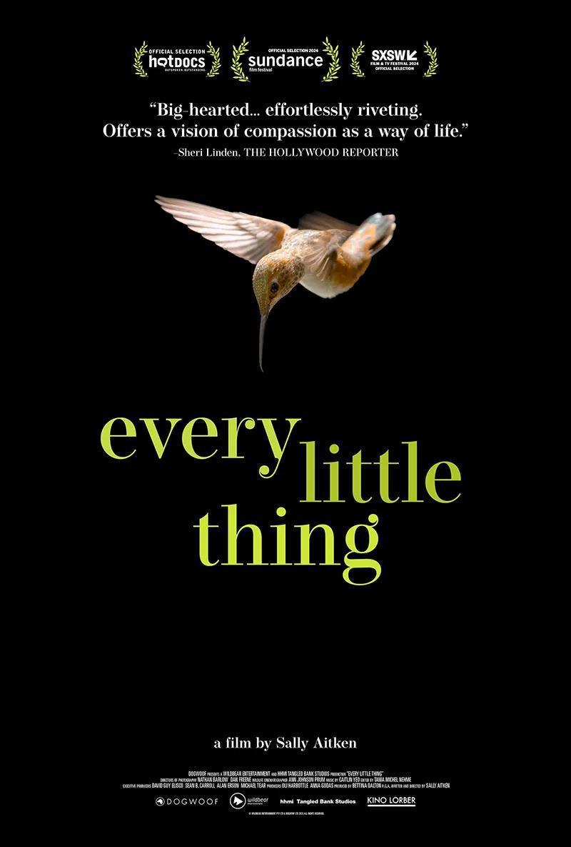 Every Little Thing (2024) - FilmAffinity