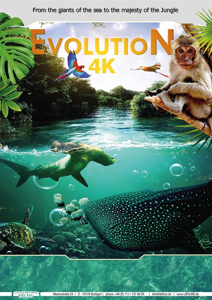 Evolution (2018) - FilmAffinity