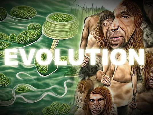 Image gallery for Evolution (S) - FilmAffinity
