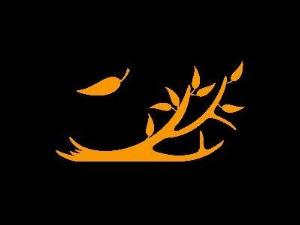 Fallen Tree Games - FilmAffinity