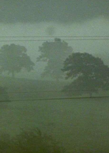 Sección visual de Fog Line (C) - FilmAffinity