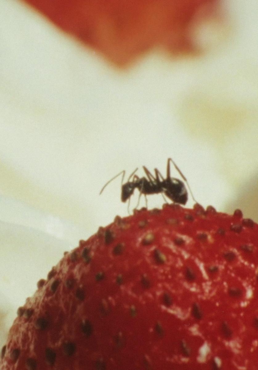 For Rest (C) (2017) - FilmAffinity