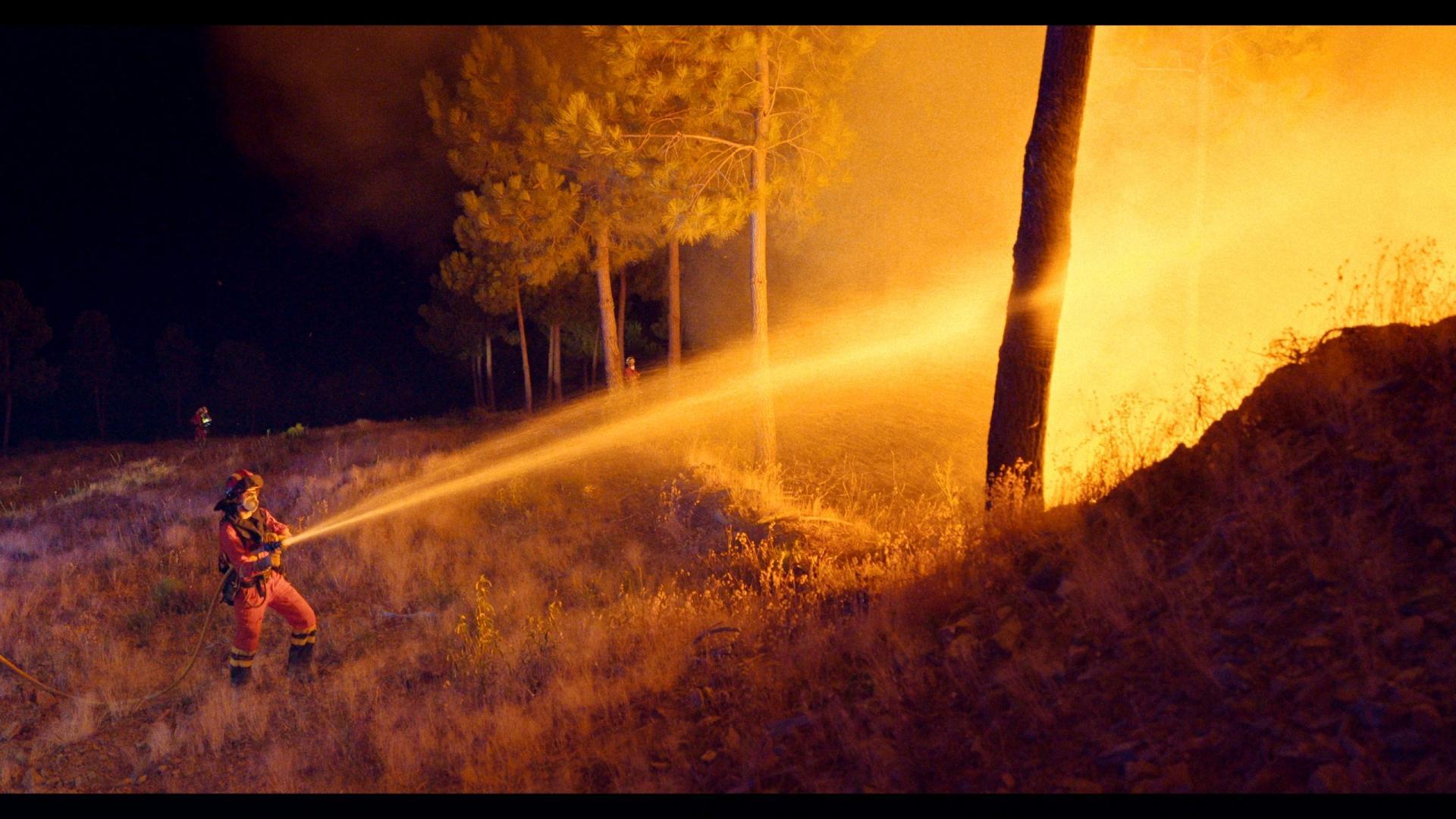 Sección visual de Fuego - FilmAffinity