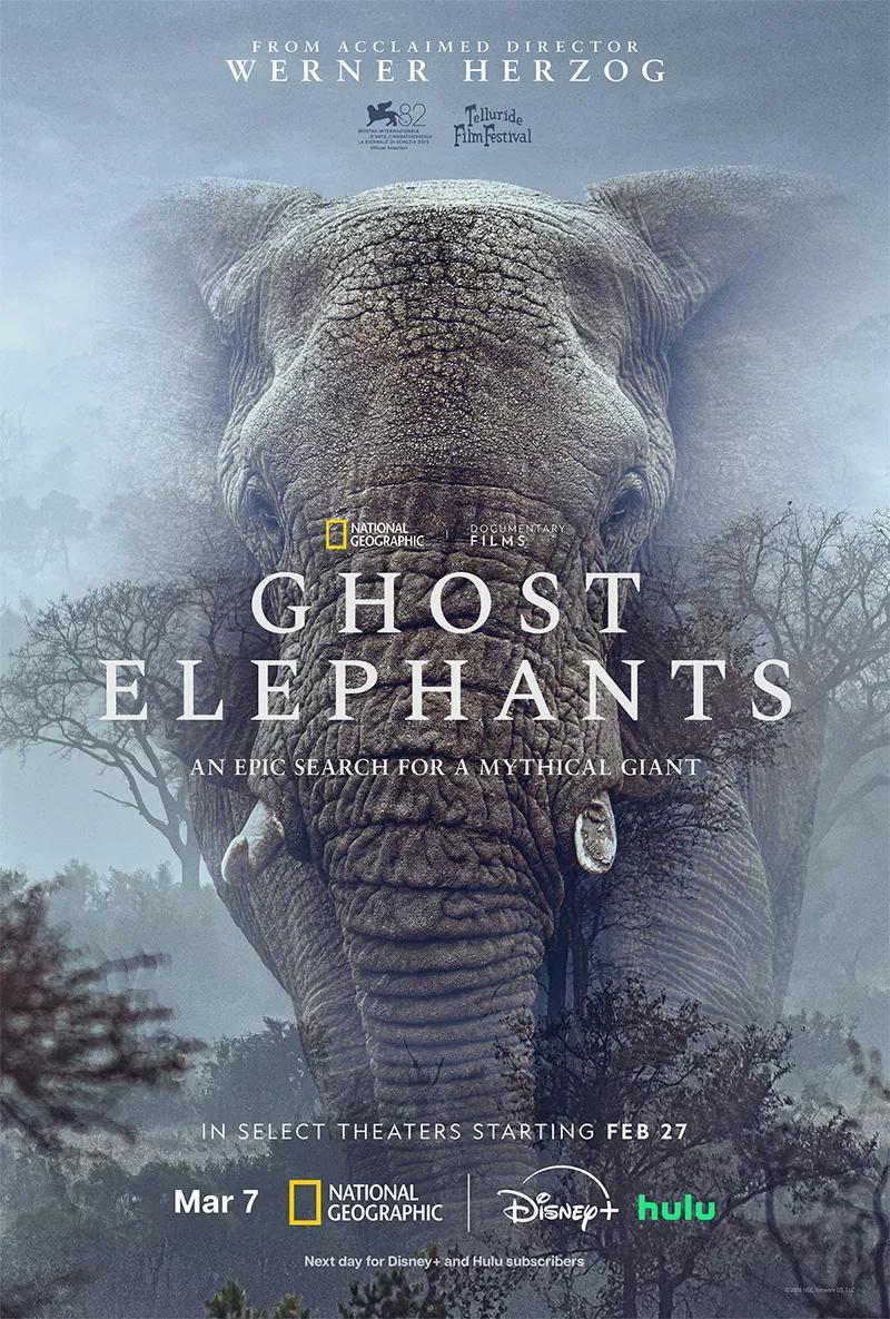 Similar movies to Ghost Elephants - FilmAffinity