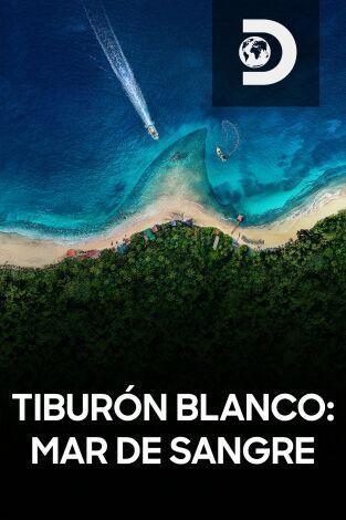 Sección visual de Tiburón blanco: mar de sangre - FilmAffinity
