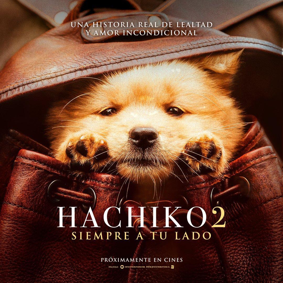 Sección visual de Hachiko - FilmAffinity
