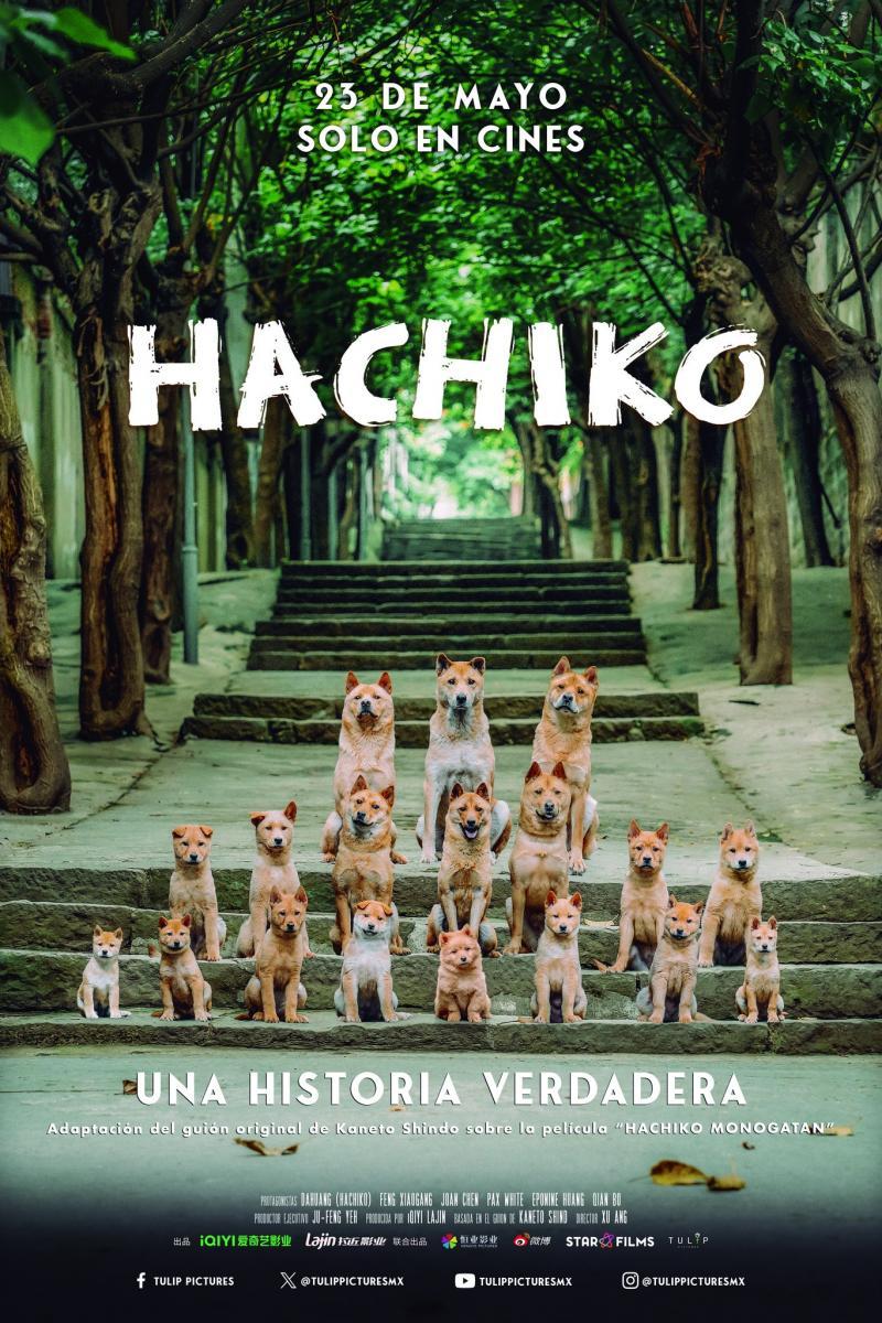 Image gallery for Hachiko - FilmAffinity