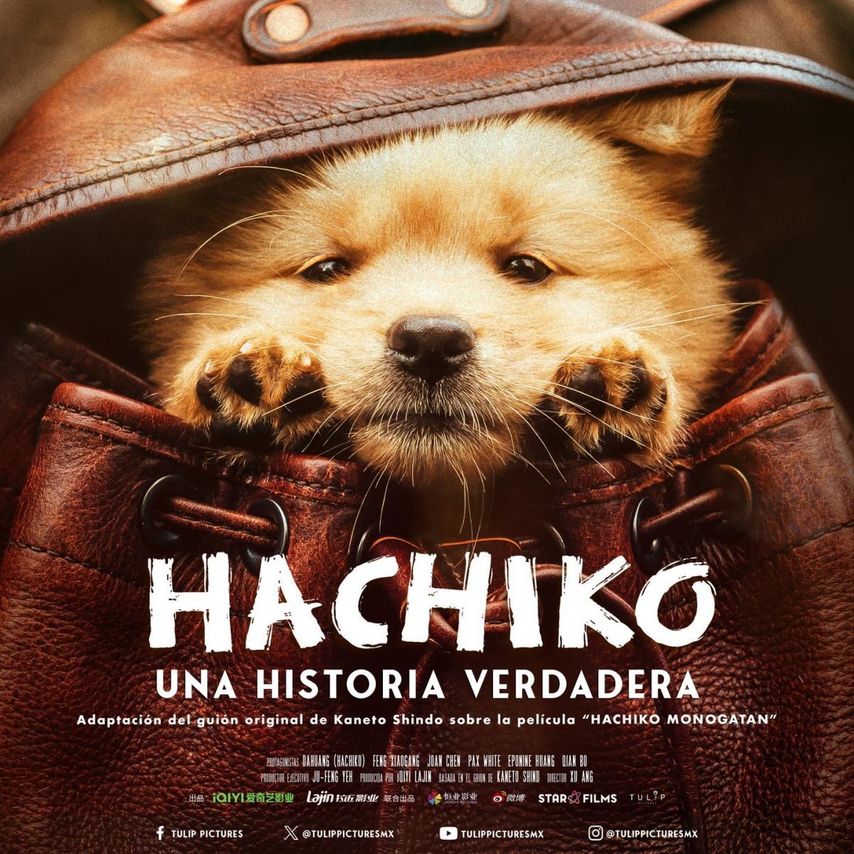 Hachiko Hachiko: The Loyal Dog In Shibuya TokyoTreat Blog