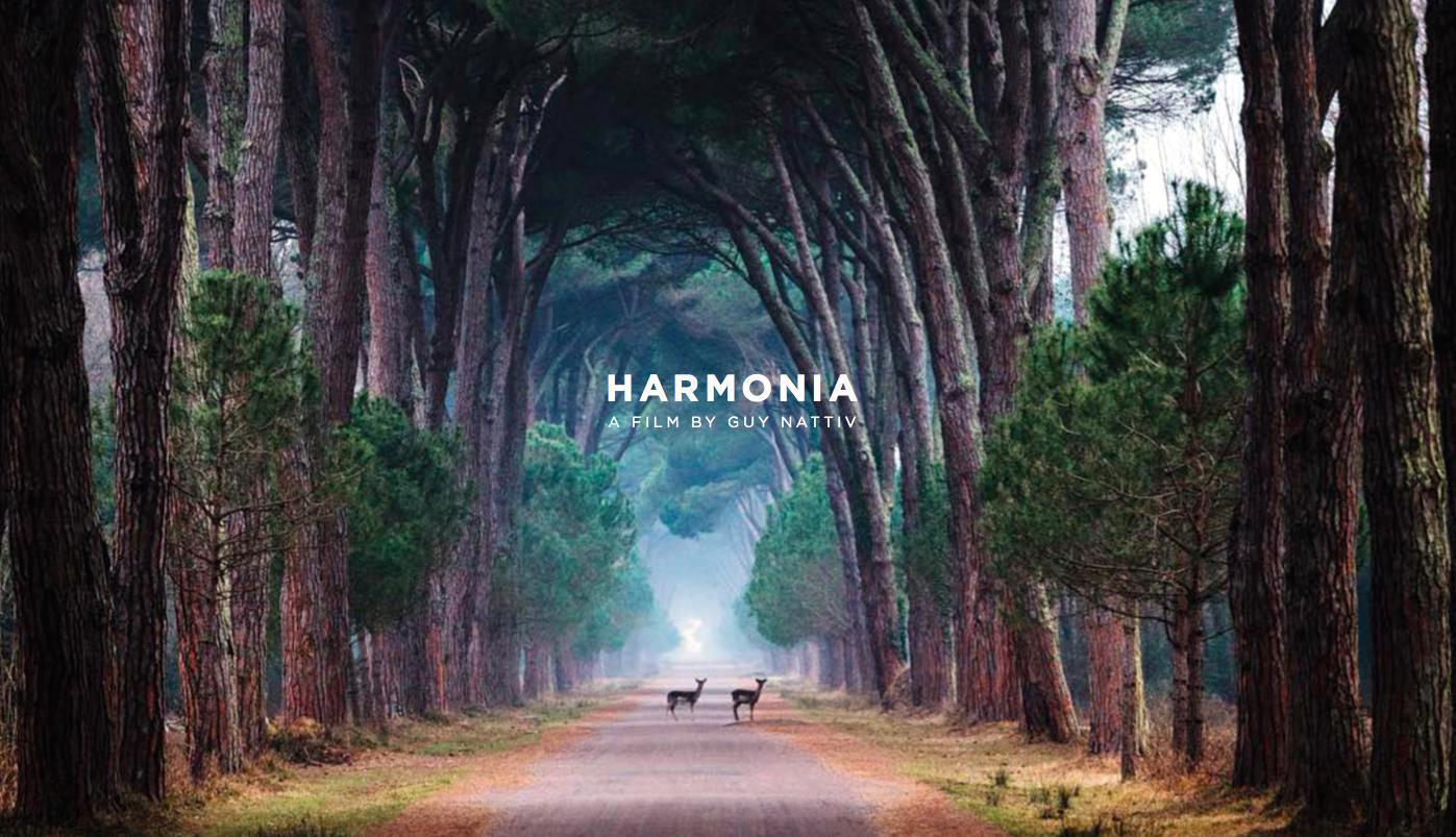 Harmonia (2026) - FilmAffinity