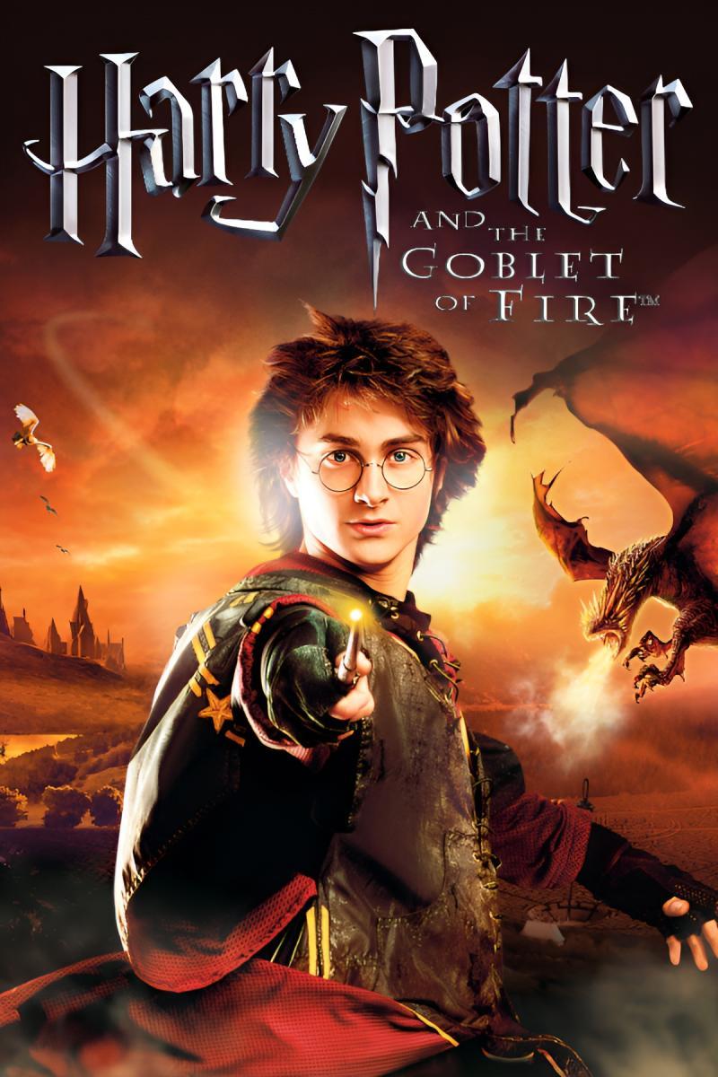 Harry Potter and the Goblet of Fire (Videogame) (2005) - FilmAffinity