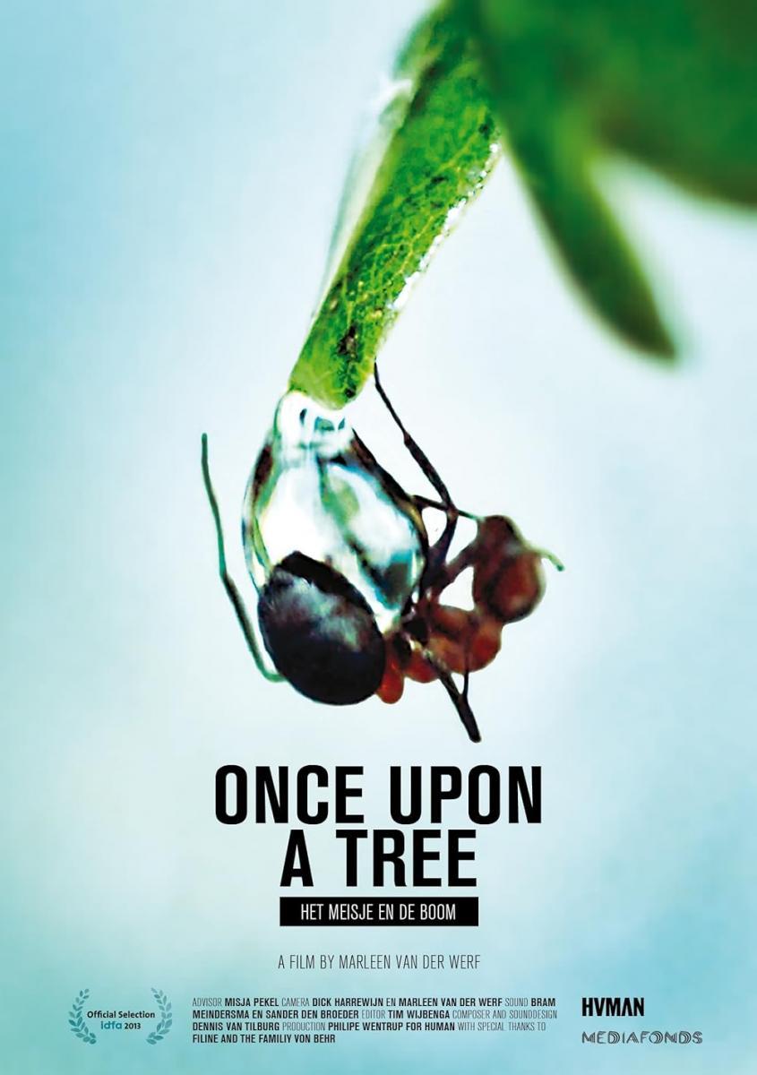 Image gallery for Once Upon a Tree (S) - FilmAffinity