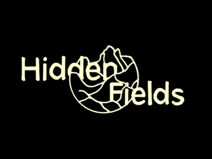 Hidden Fields - FilmAffinity