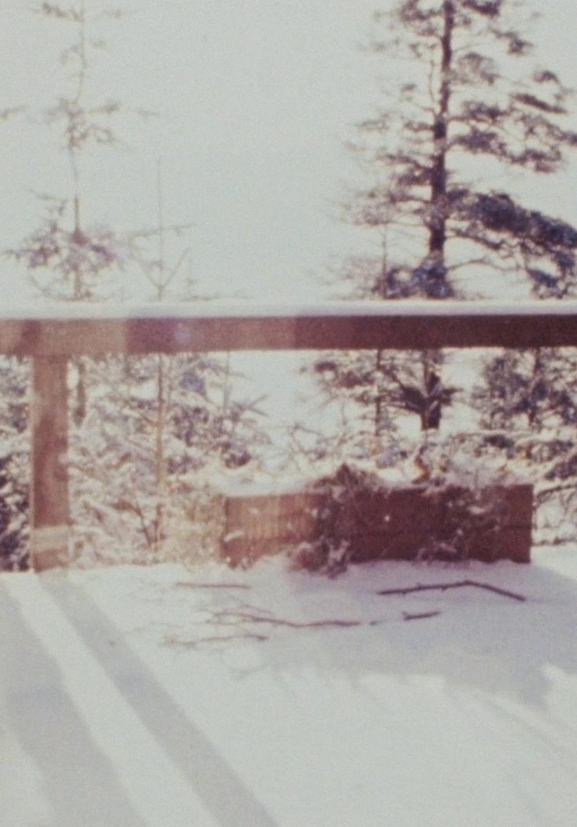 Image gallery for Home for Christmas - FilmAffinity