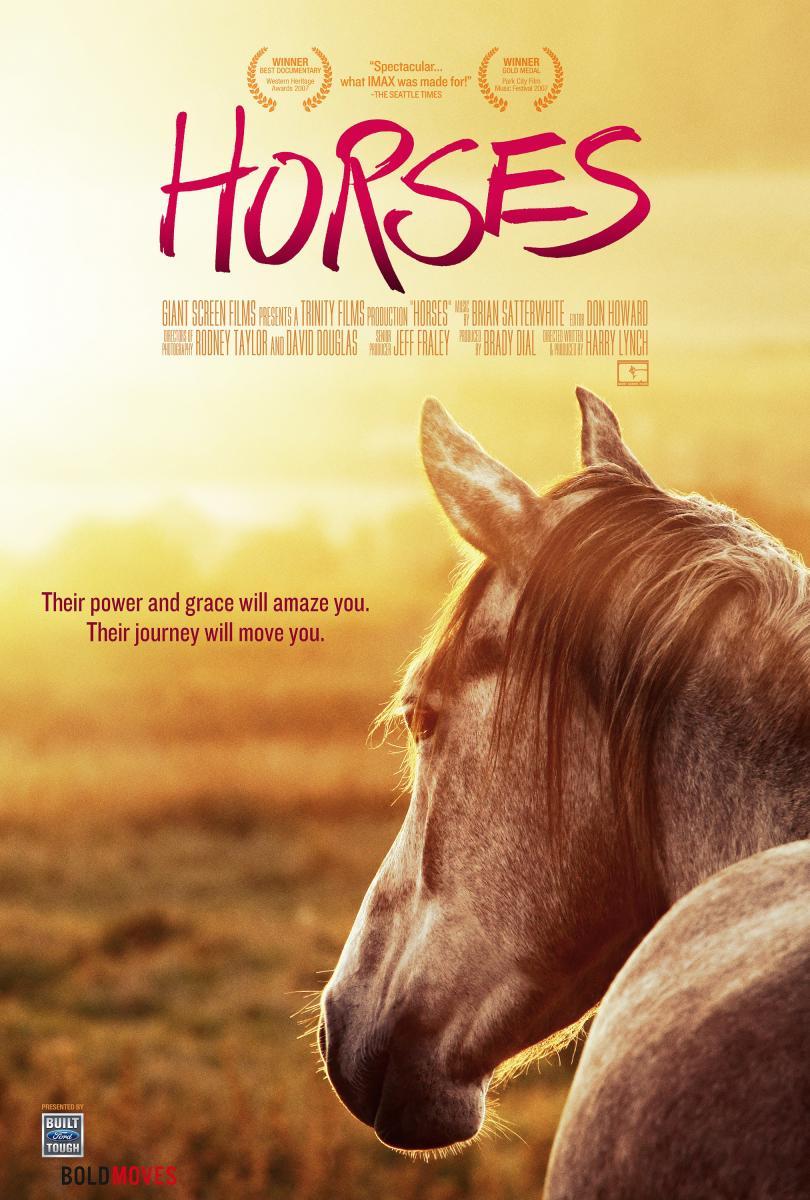 Image gallery for Horses - FilmAffinity