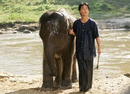 Image gallery for Shining Boy & Little Randy - FilmAffinity