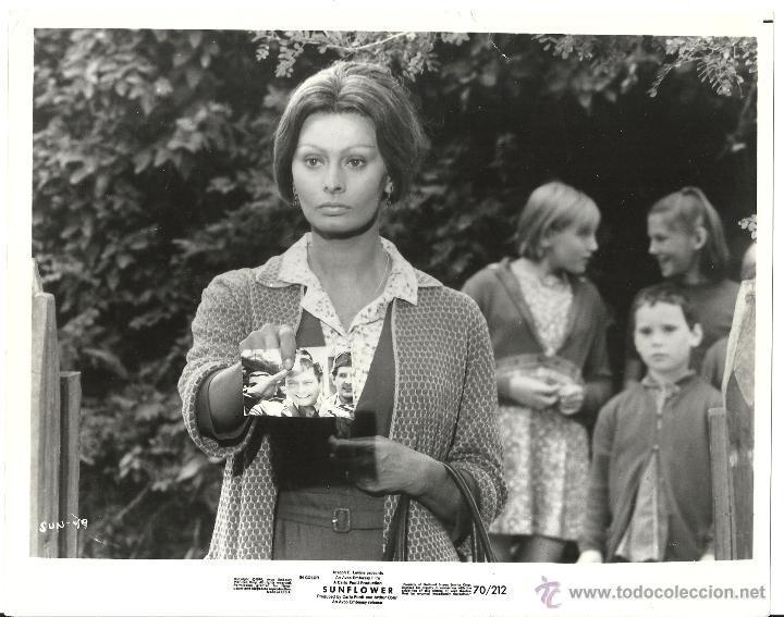 Sección visual de Los girasoles - FilmAffinity