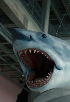 Image gallery for Jaws: Making a Splash in Hollywood - FilmAffinity