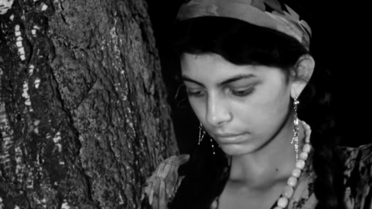 The Gypsy Camp (C) (1954) - FilmAffinity