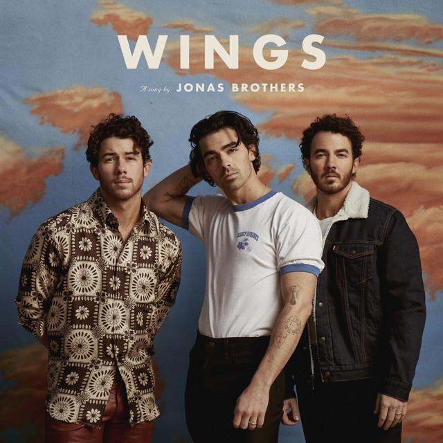 Sección visual de Jonas Brothers: Wings (Vídeo musical) - FilmAffinity