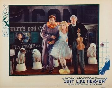 Image gallery for Just Like Heaven - FilmAffinity
