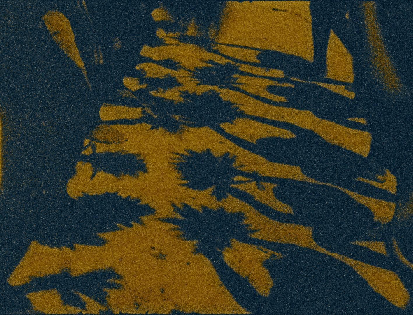 Image gallery for The Memory of Butterflies - FilmAffinity