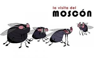 La visita del moscón (C) (2012) - FilmAffinity