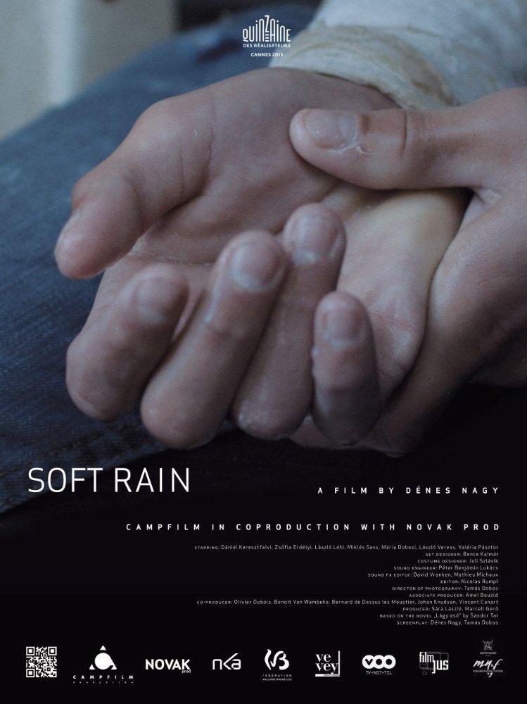 Soft Rain (2013) - FilmAffinity