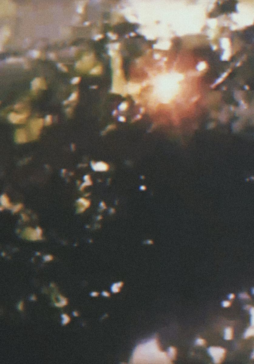 Lair of Light (S) (2002) - FilmAffinity