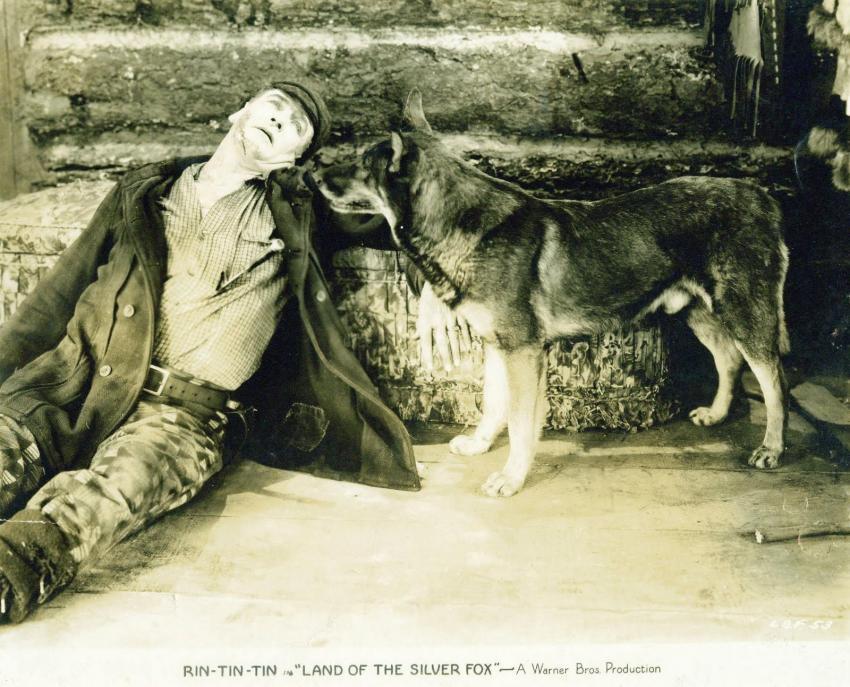 Image gallery for Land of the Silver Fox - FilmAffinity