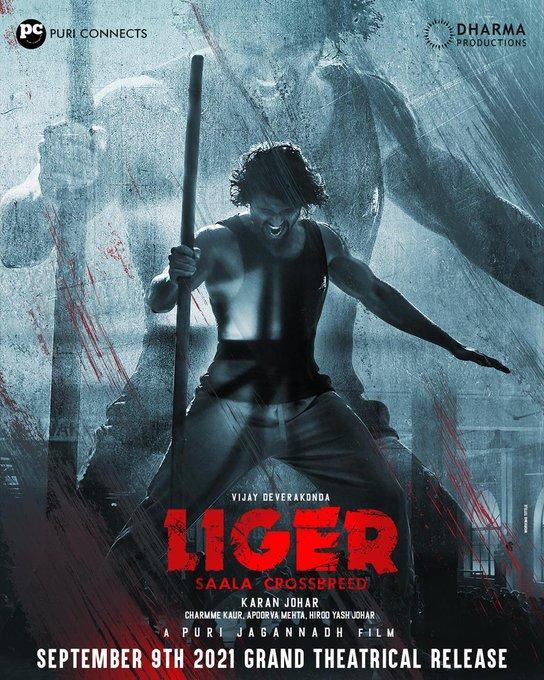 Image gallery for Liger - FilmAffinity