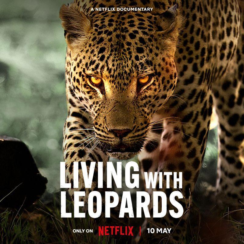 Image gallery for Living with Leopards - FilmAffinity