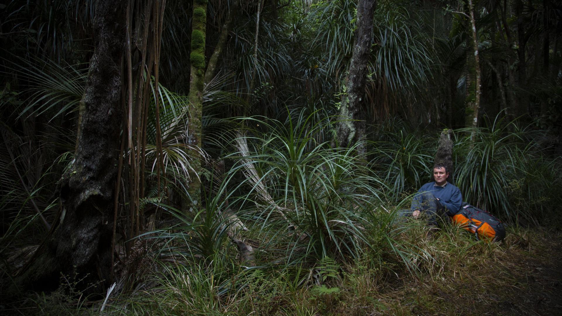 Sección visual de Loop Track - FilmAffinity