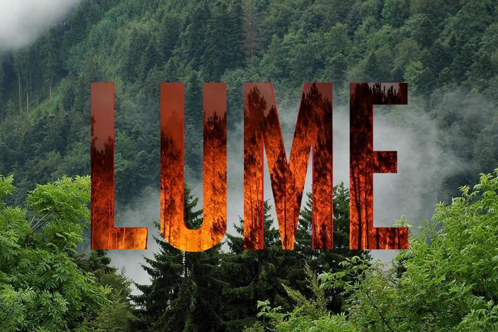 Image gallery for Lume (TV Miniseries) - FilmAffinity