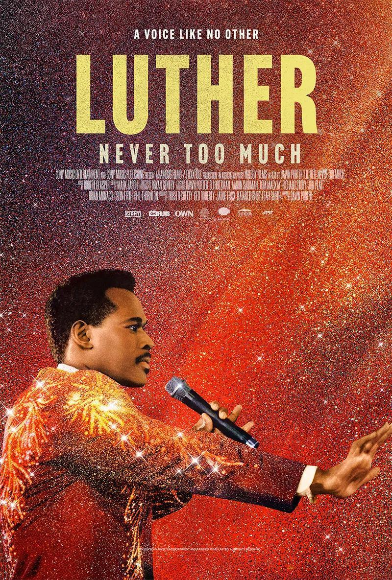 Luther: Never Too Much (2024) - FilmAffinity