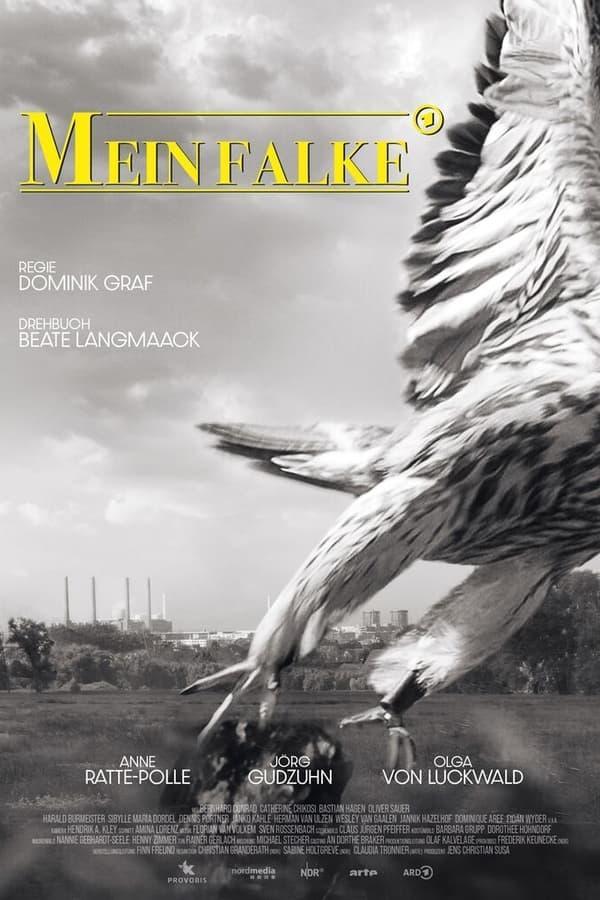 Mein Falke (2023) - FilmAffinity