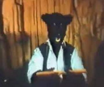 Image gallery for Wolf - FilmAffinity