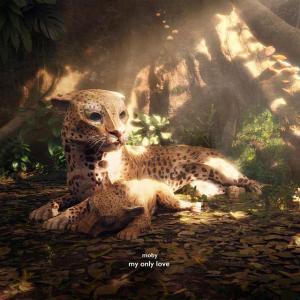 Moby: My Only Love (Vídeo musical) (2020) - FilmAffinity