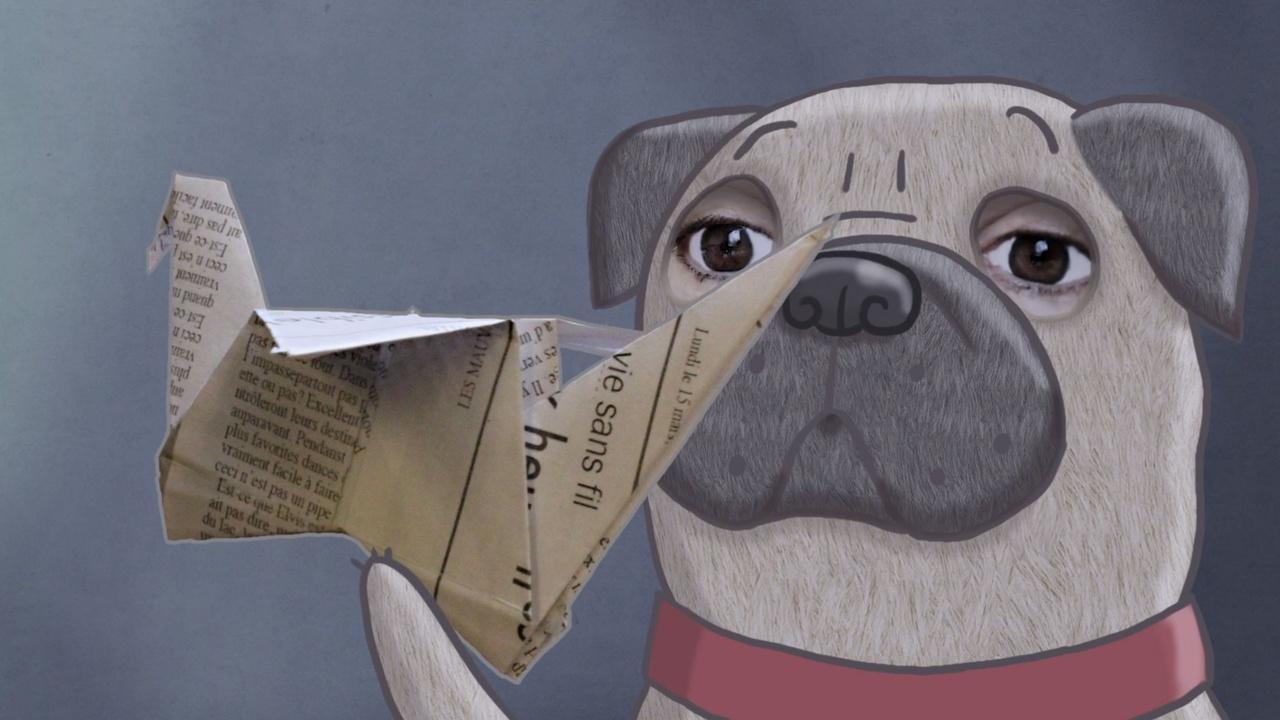 Image gallery for Monsieur Pug (S) - FilmAffinity